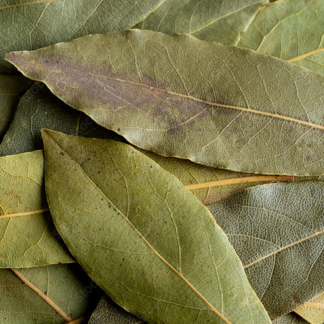 Propiedades y usos medicinales del laurel - Saraplantas